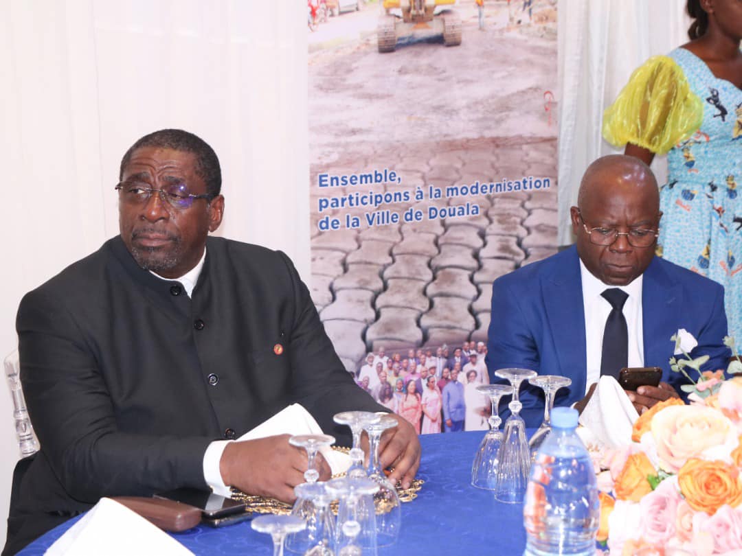 Société métropolitaine d’investissement de Douala : qui veut jouer à ...