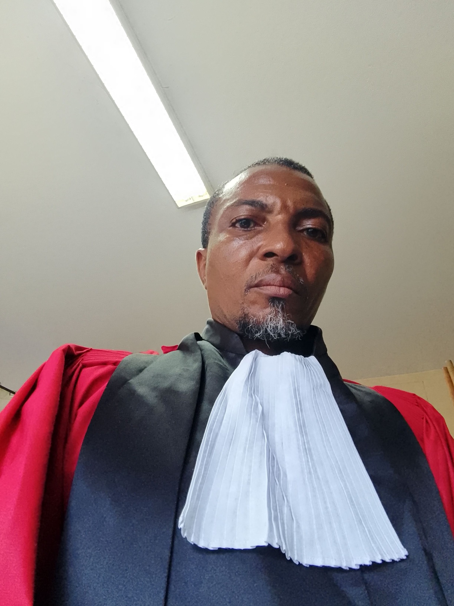 La constitution du Cameroun 30 ans après : ma réponse au professeur ...